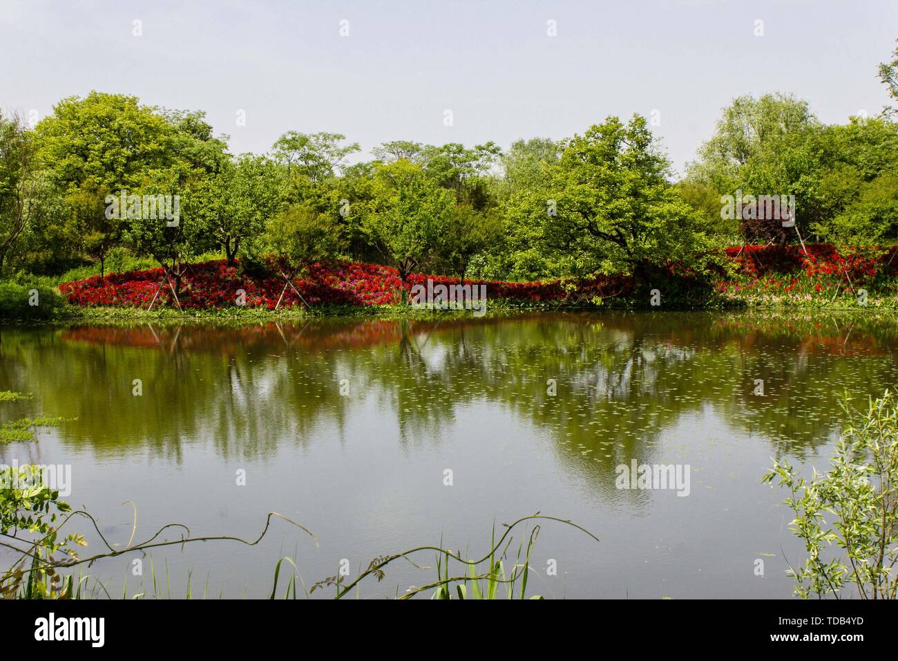 Scenery of Xixi Wetland Park in Hangzhou Stock Photo - Alamy