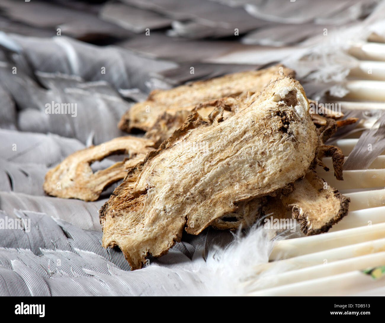 Angelica tablets hi-res stock photography and images - Alamy