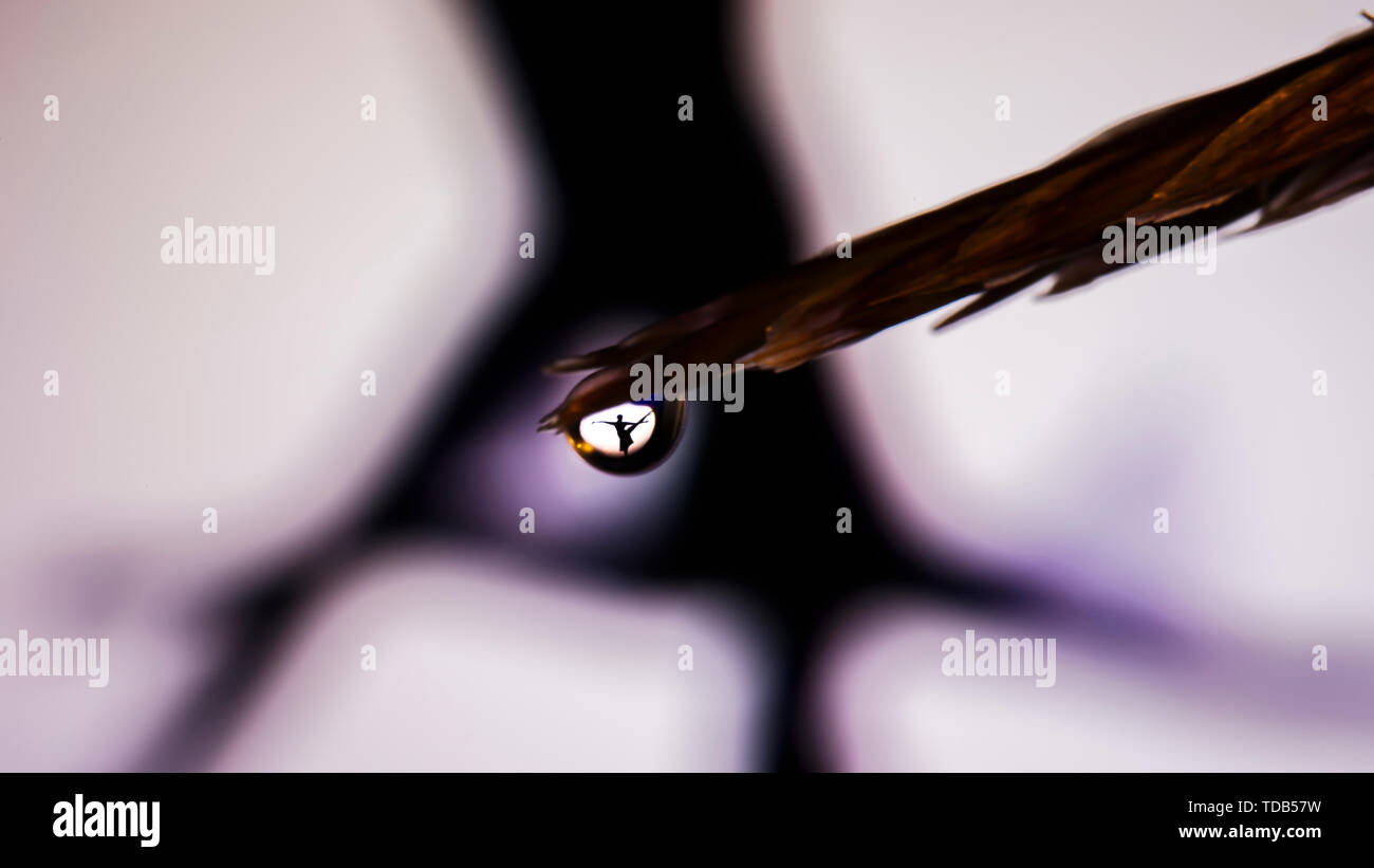 Micro - a dancer in a water droplet Stock Photo - Alamy