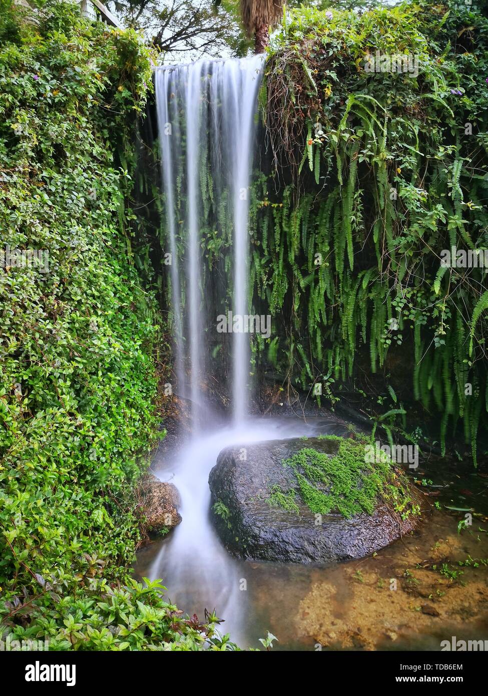 Clear spring stone upstream Stock Photo - Alamy