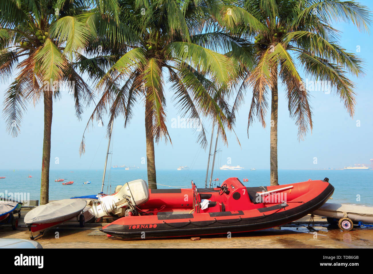 Coconut trees and boats on the shore Stock Photo - Alamy