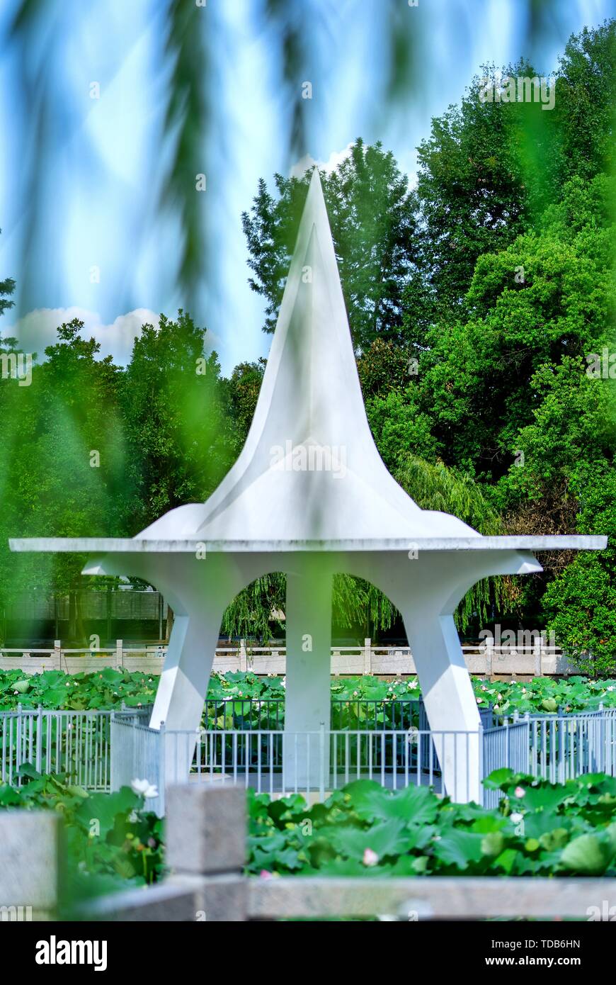 Bajiao hi-res stock photography and images - Alamy