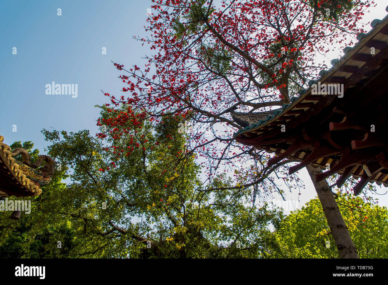 Guangzhou Guangxiao Temple, Lingnan has the longest history, the most profound influence and the ...