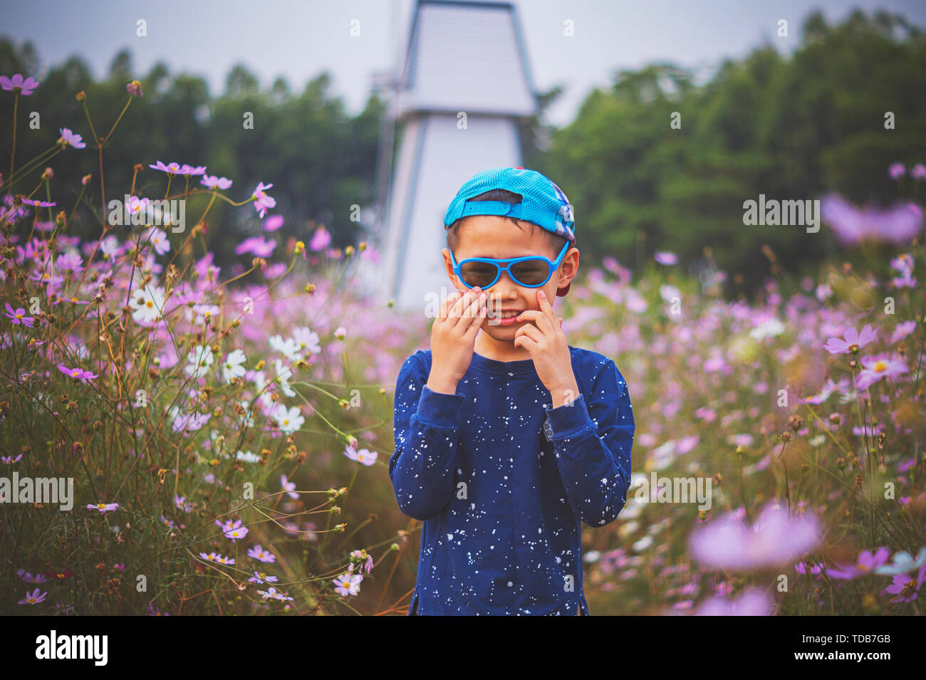 The boy standing in the flowers Stock Photo - Alamy