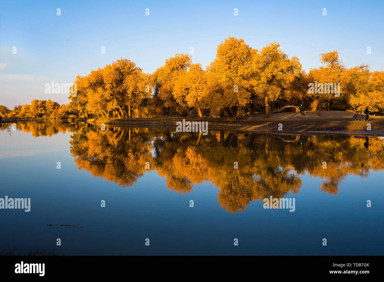 Hu yang lin hi-res stock photography and images - Alamy