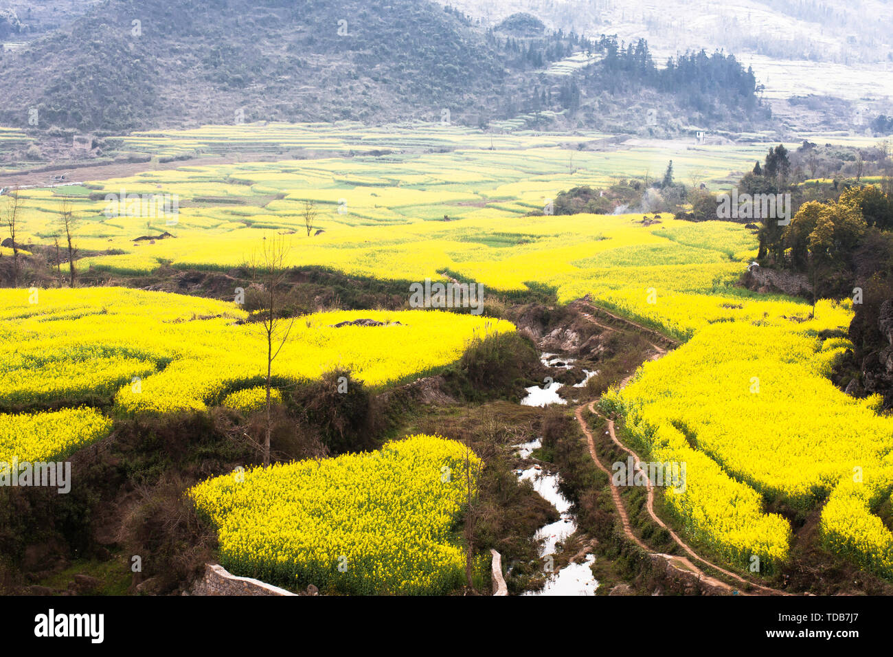 Rapopeera of Ropin Stock Photo - Alamy