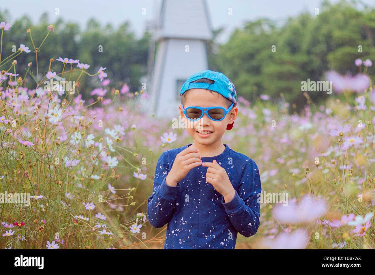 The boy standing in the flowers Stock Photo - Alamy