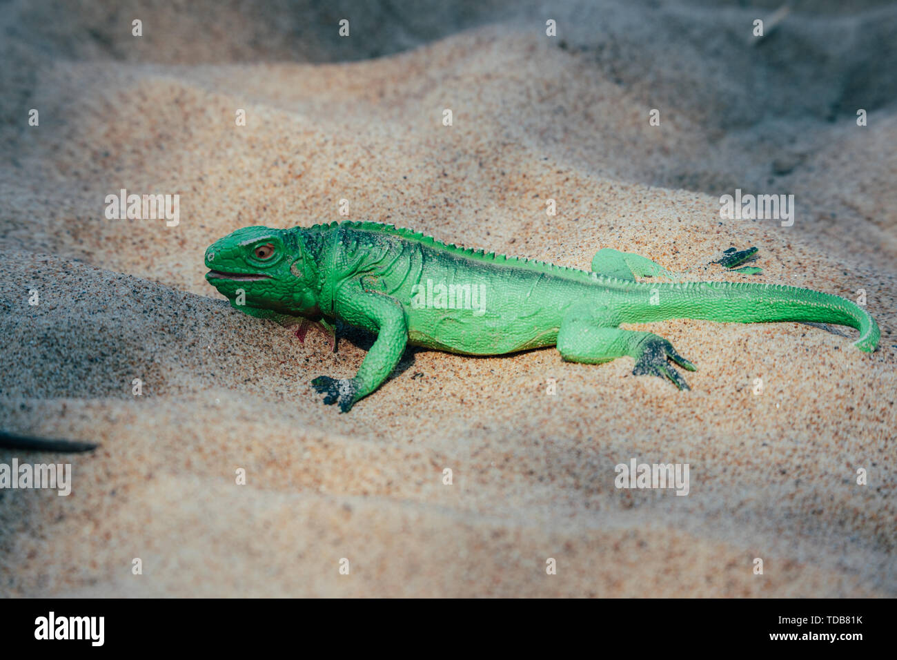 plastic toy in the form of a green lizard on the sand Stock Photo - Alamy