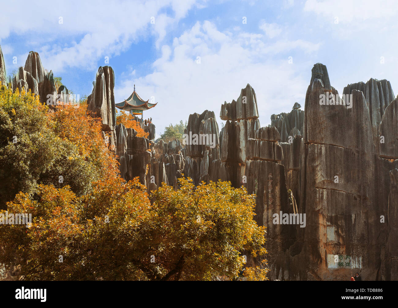 Shilin geopark hi-res stock photography and images - Alamy