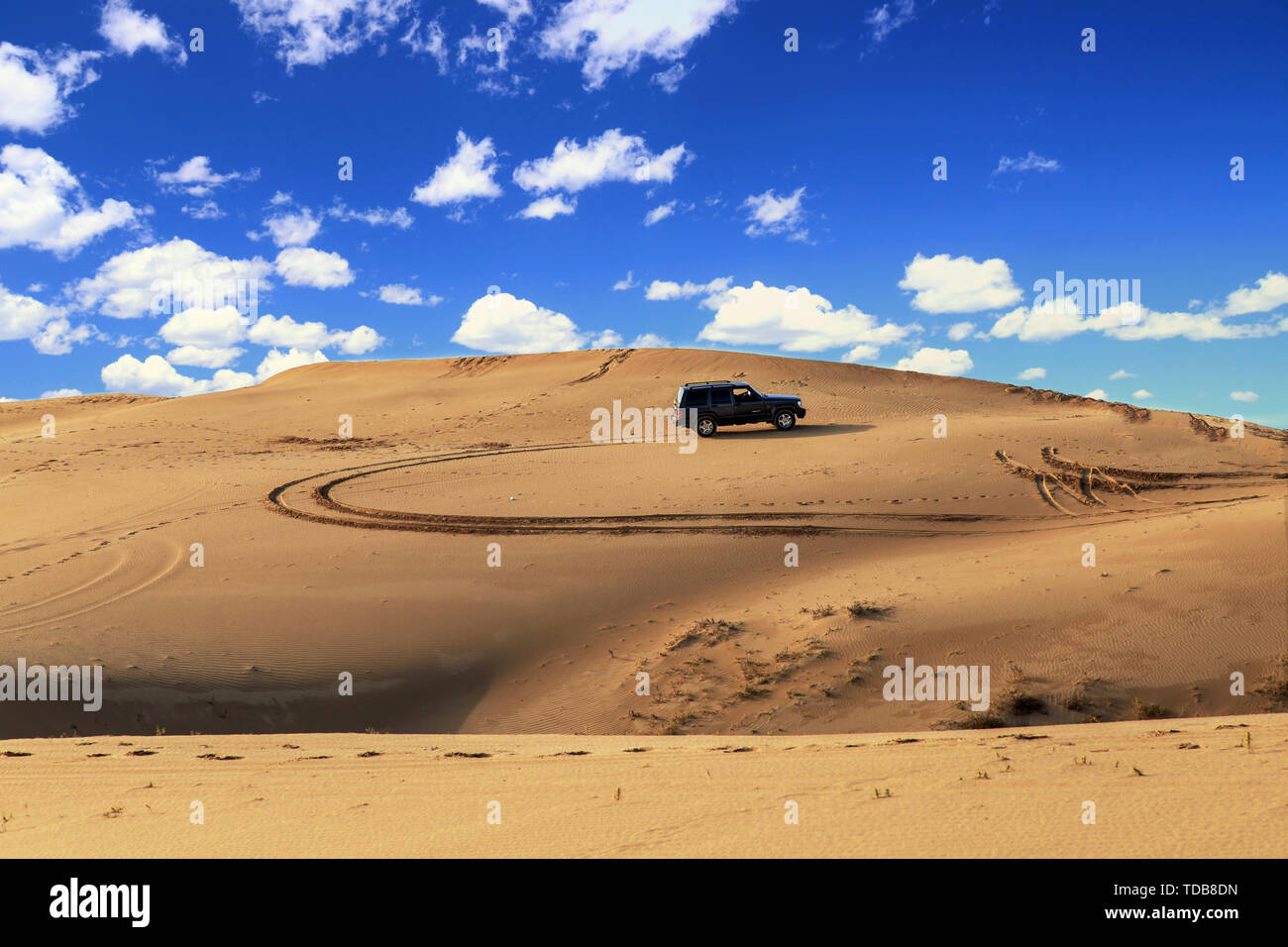 Car galloping in the desert Stock Photo - Alamy