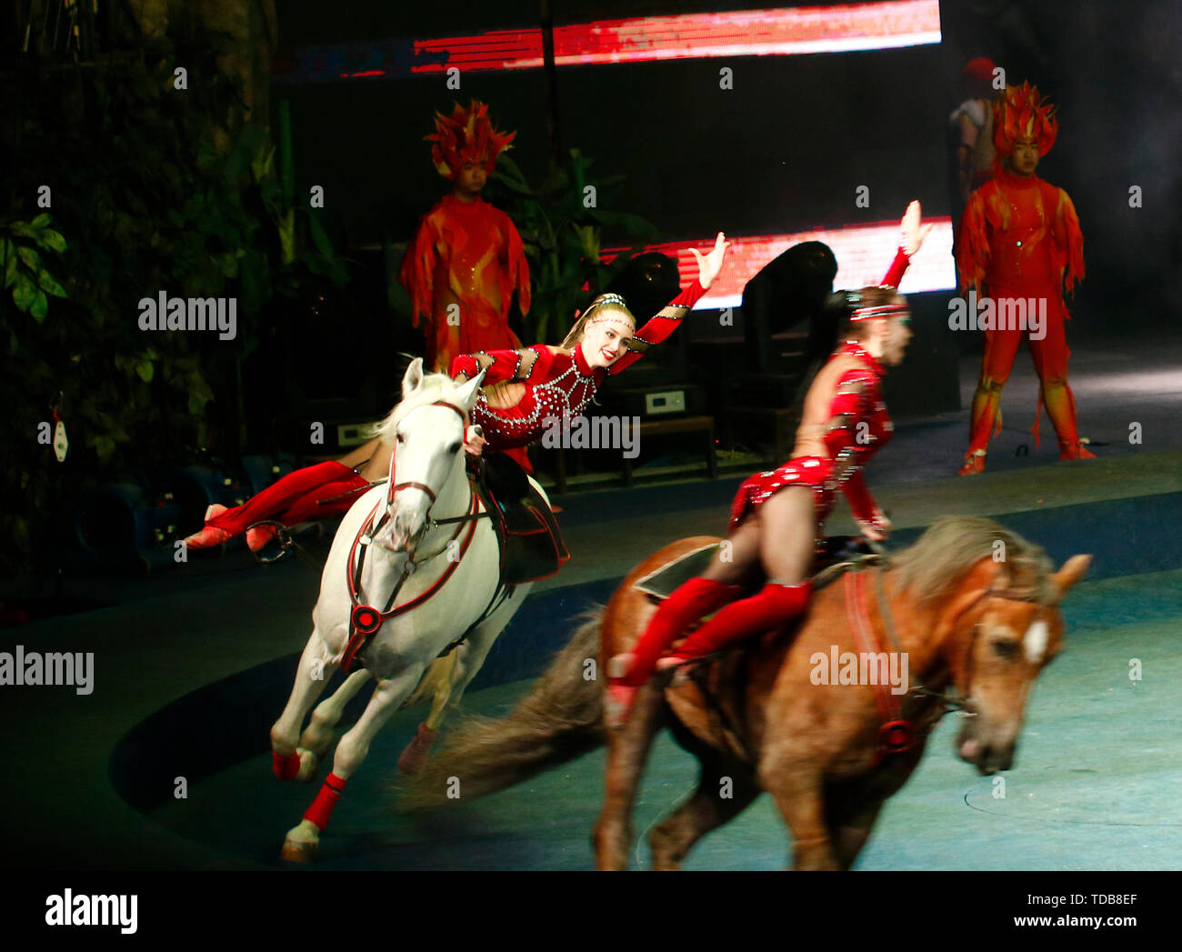Changlong Circus performance Stock Photo - Alamy