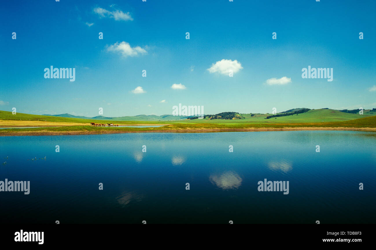 Simple lake shot hi-res stock photography and images - Alamy