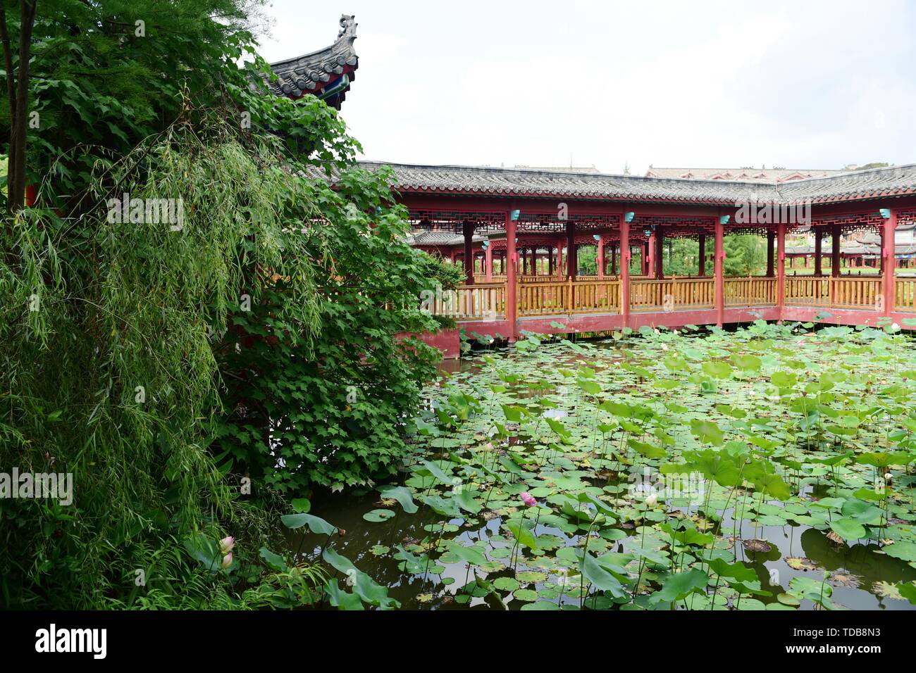 Antique architecture and lotus pavilion lotus Stock Photo - Alamy