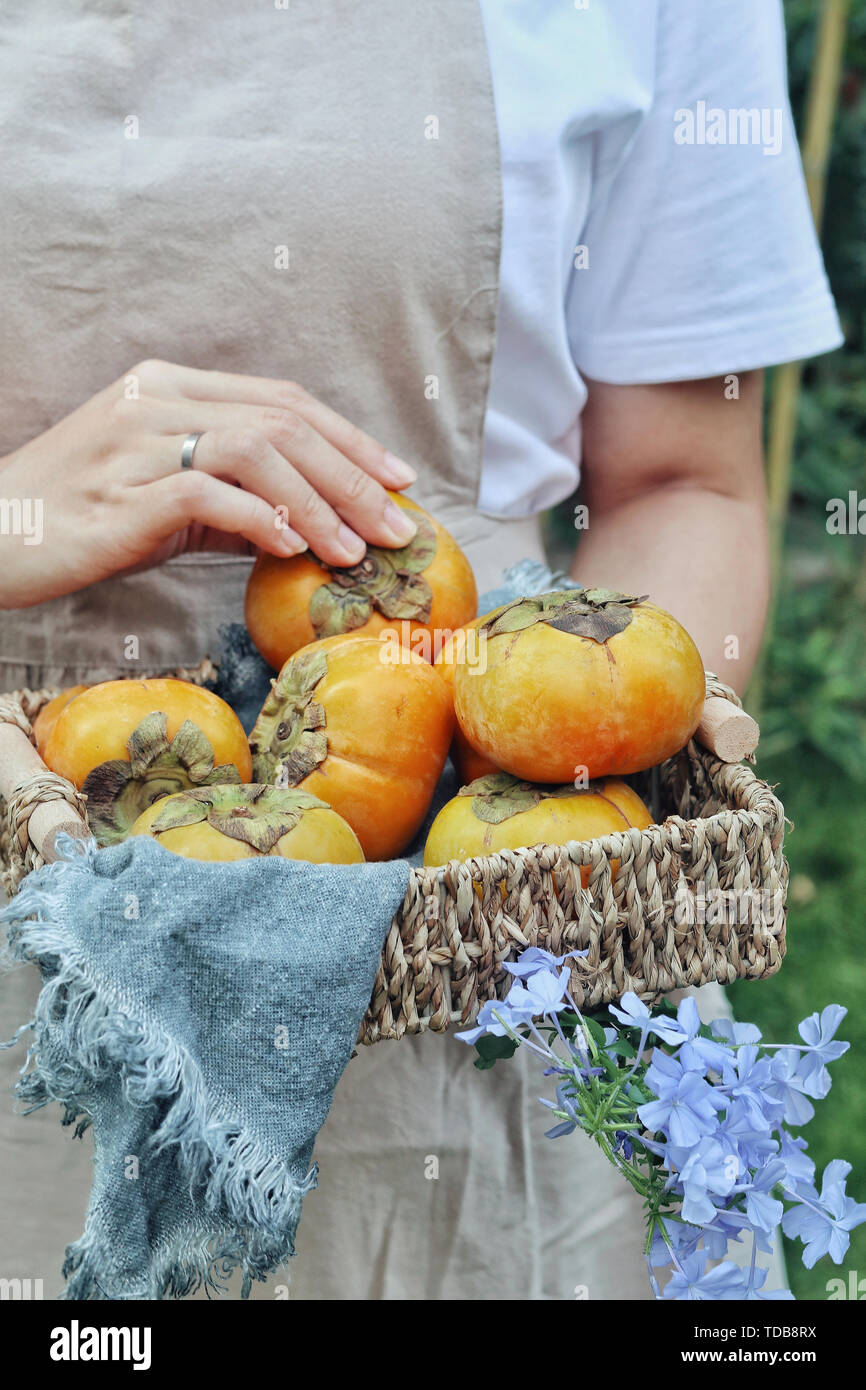 Fresh crispy persimmon Stock Photo - Alamy