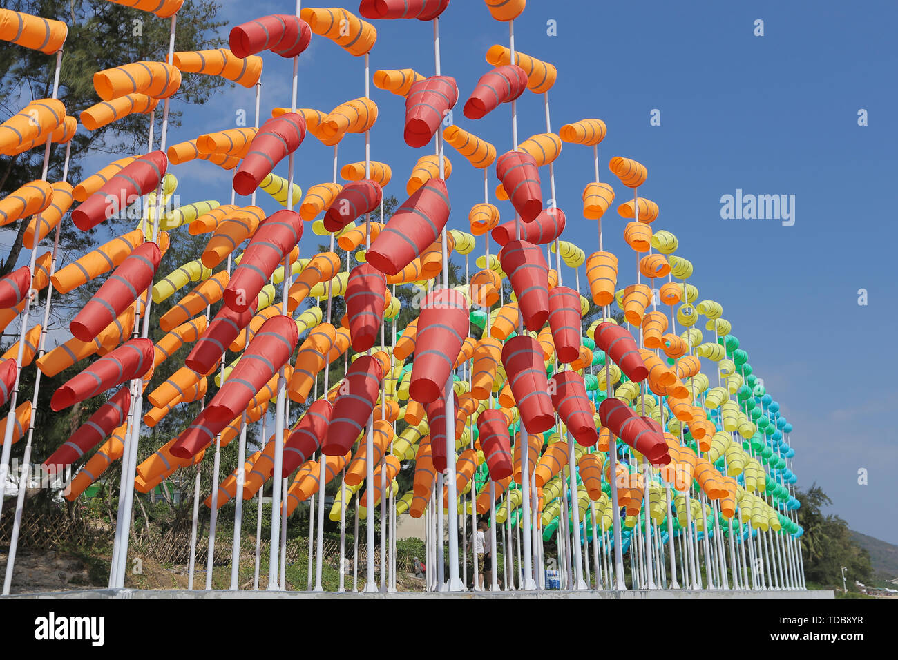 Carp flag hi-res stock photography and images - Alamy