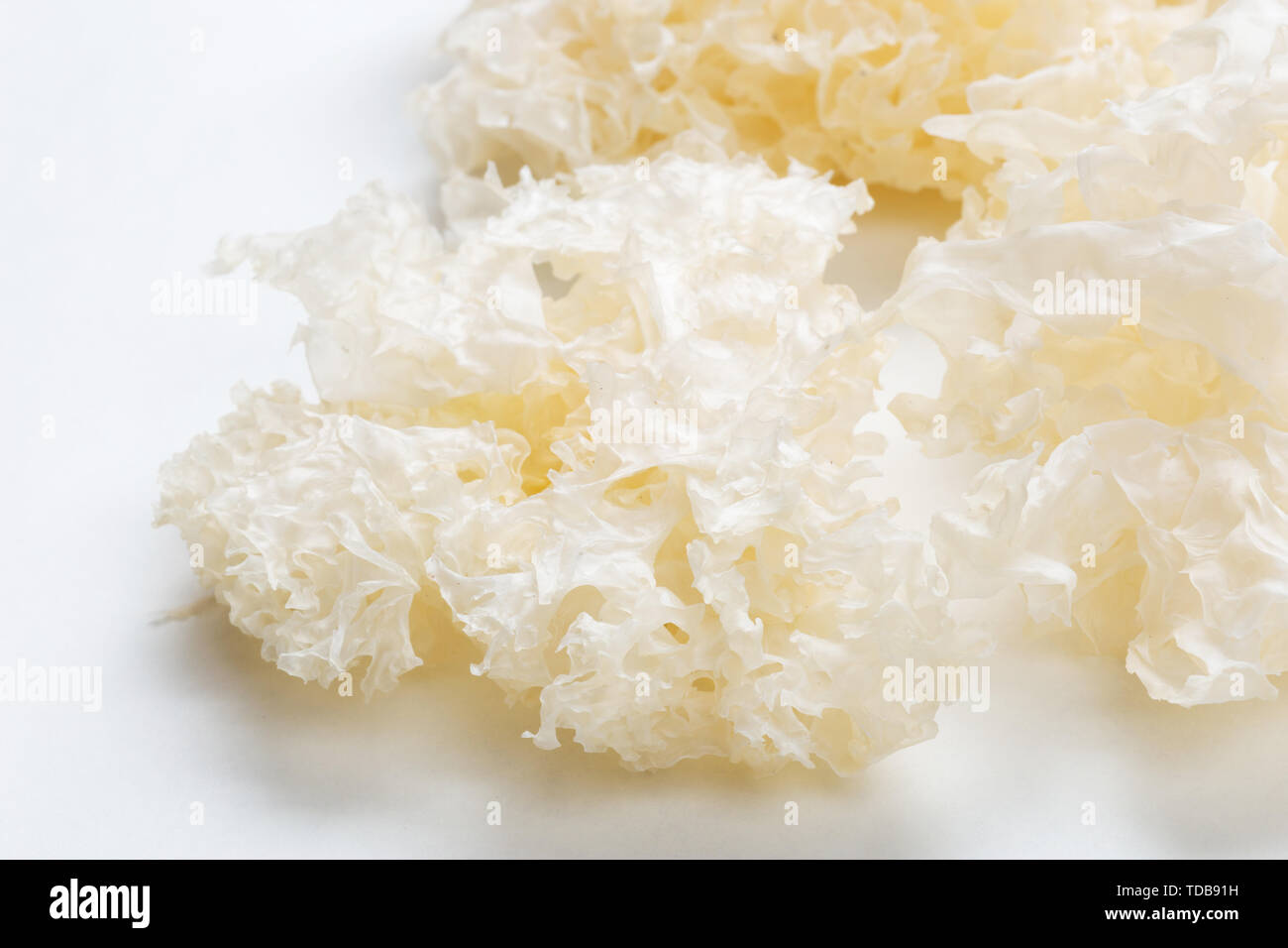 Silver ear fungus tremella fuciformis hi-res stock photography and ...