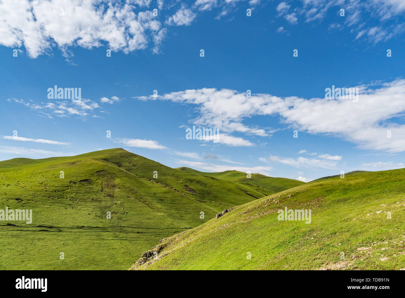 Hillside Prairie Road under blue sky and white clouds Stock Photo - Alamy