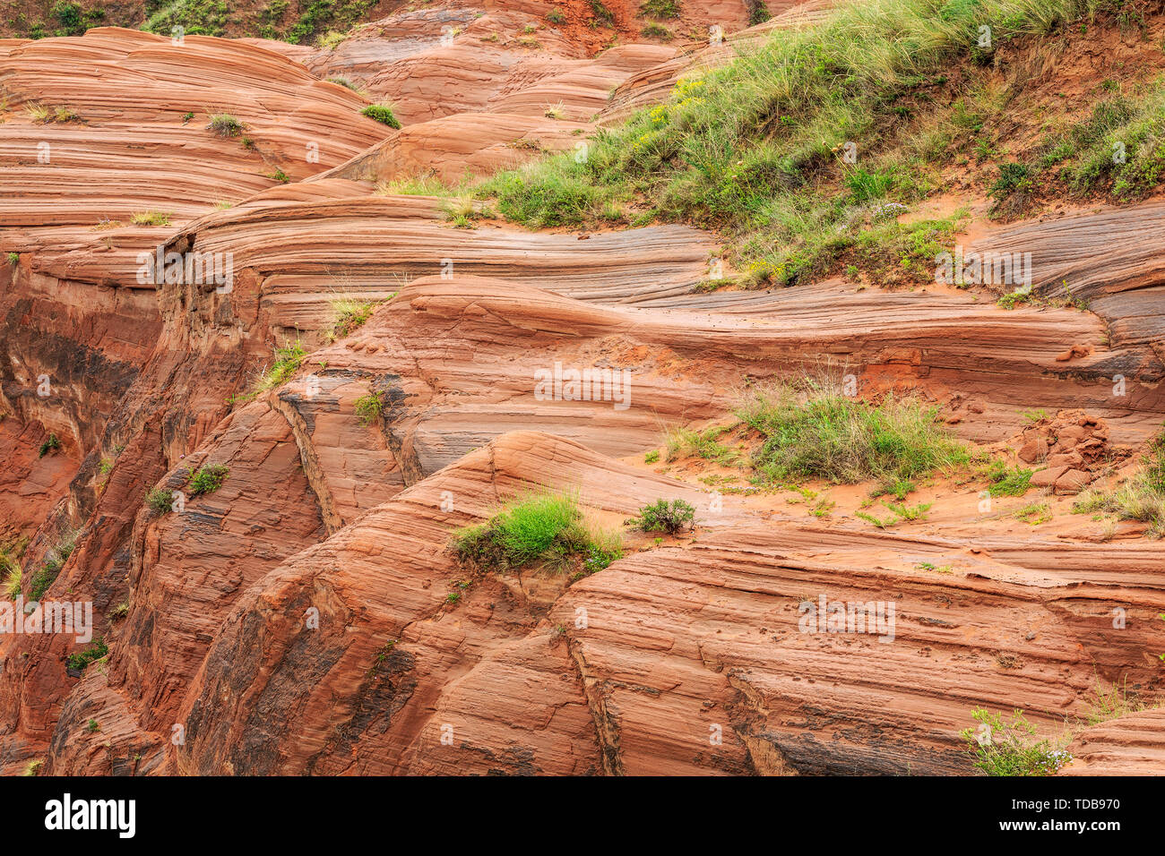 The Valley of the Danforth Stock Photo - Alamy