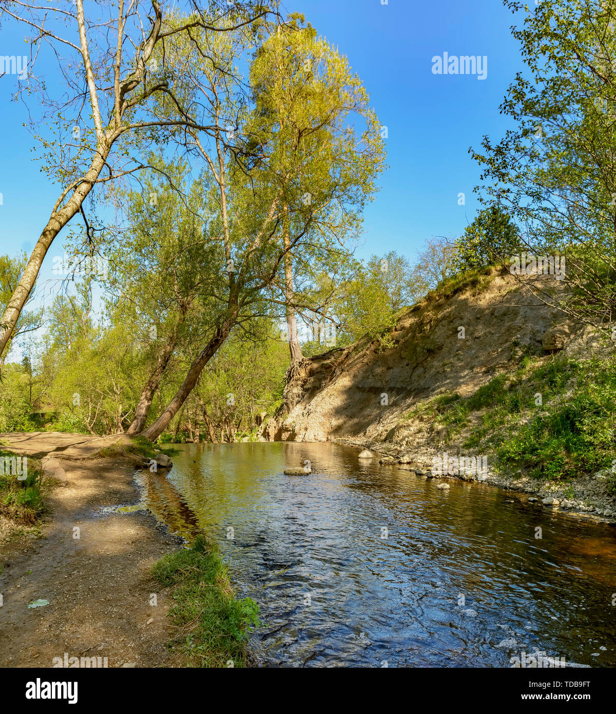 Spring walk along the river Sablinka in the Leningrad region. The ...