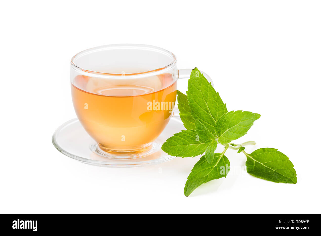 Peppermint tea and fresh peppermint leaves on white background Stock ...
