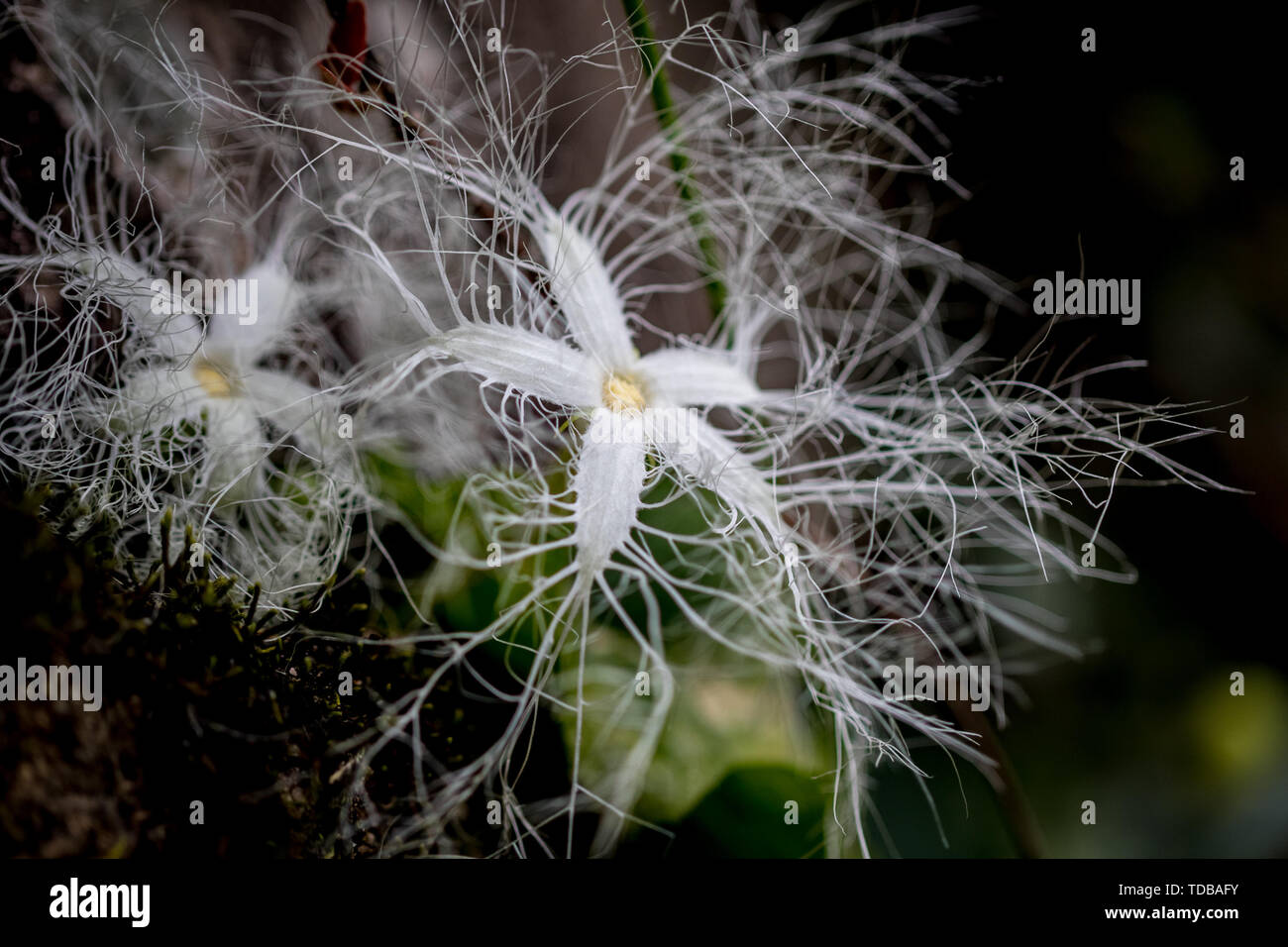 Representation of water hi-res stock photography and images - Alamy