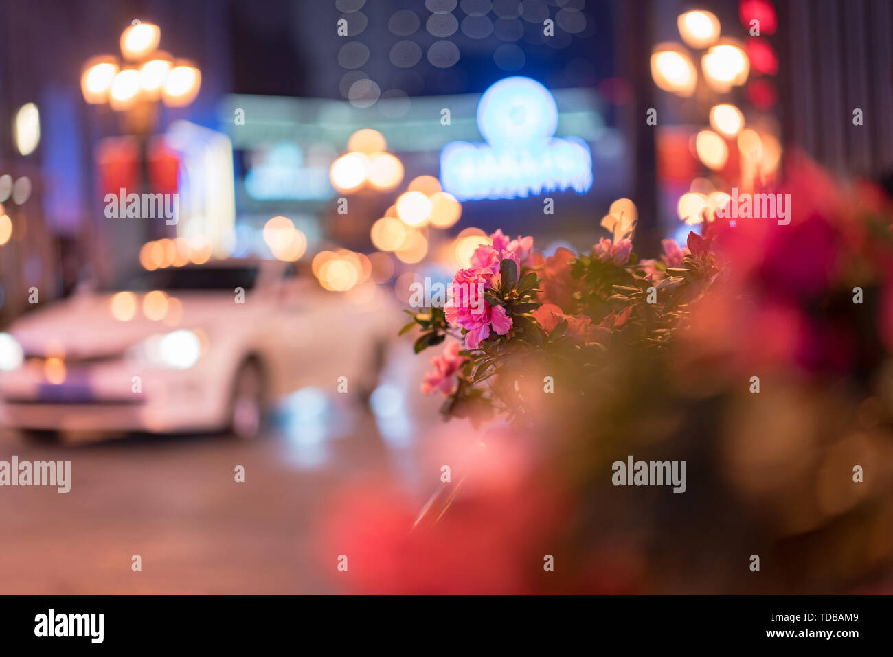 Streets mold and city hi-res stock photography and images - Alamy