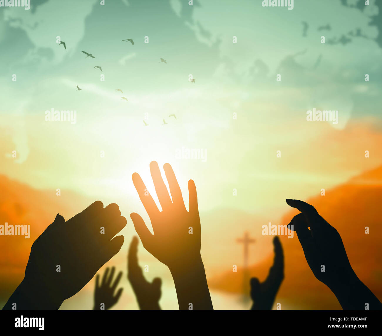 Pray hands summer light hi-res stock photography and images - Alamy