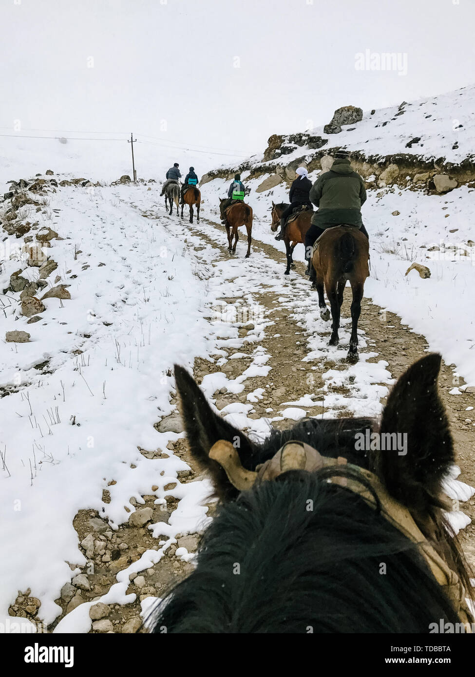 Person on horse hi-res stock photography and images - Alamy