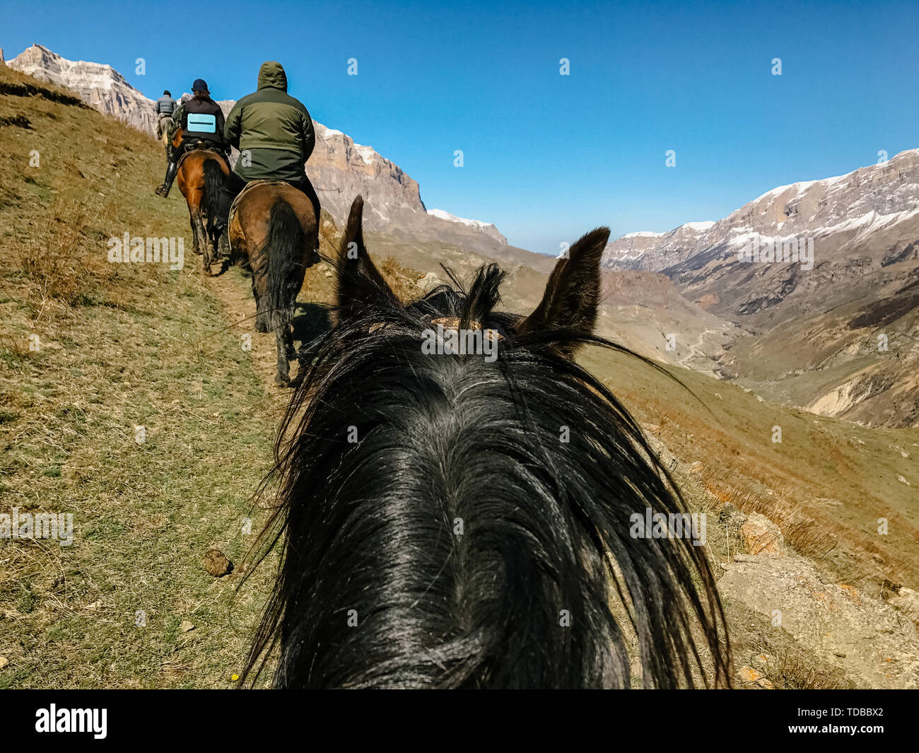 horseback view from the first person opens a review of the riders in ...
