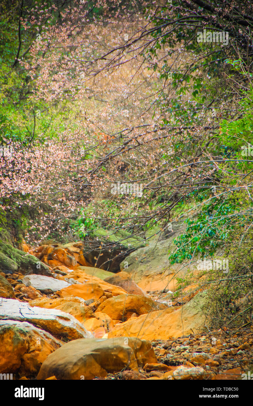 Photographer: Hu Wenkai Stock Photo - Alamy