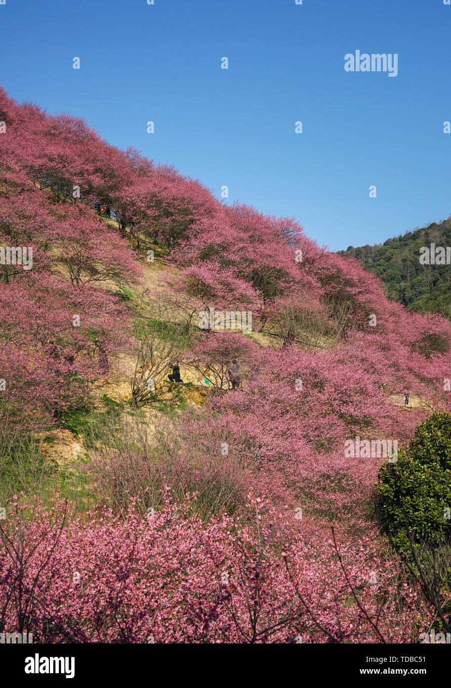 Meishan village hi-res stock photography and images - Alamy