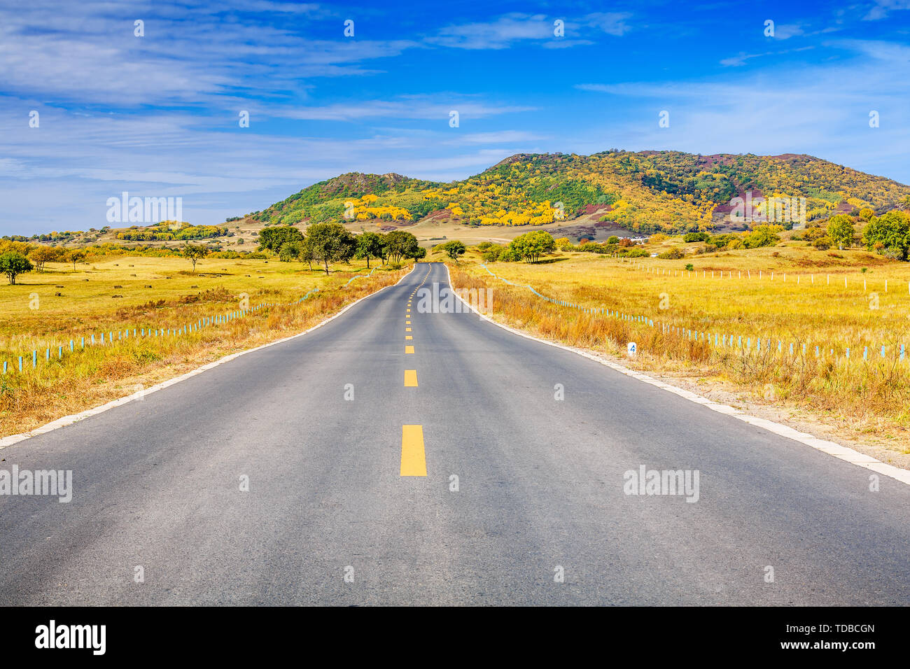 Magnolia paddock dam hi-res stock photography and images - Alamy