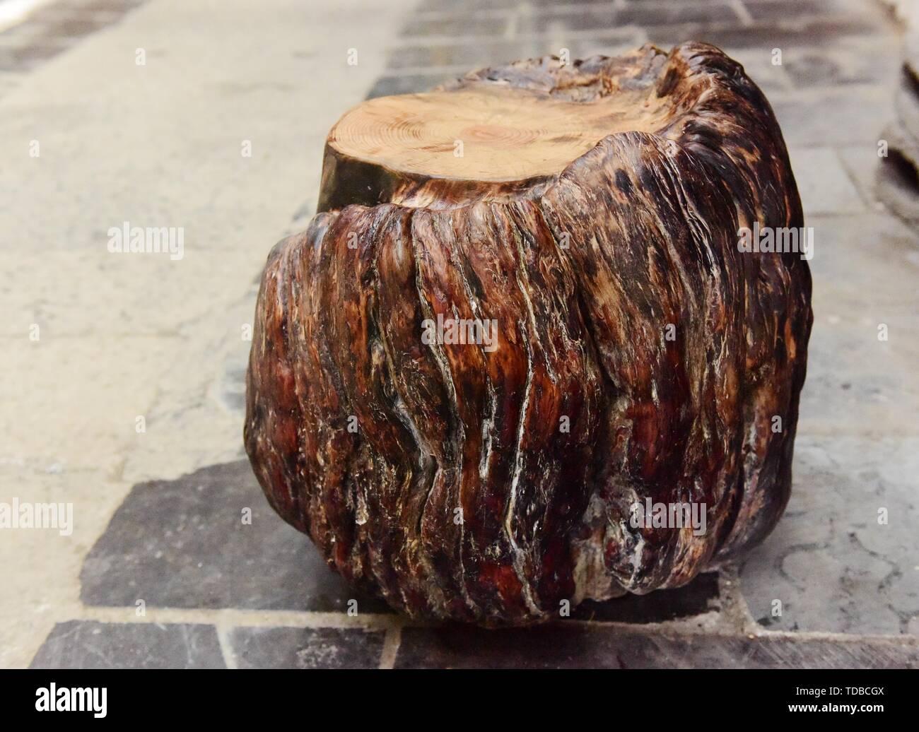 Withered tree root texture hi-res stock photography and images - Alamy