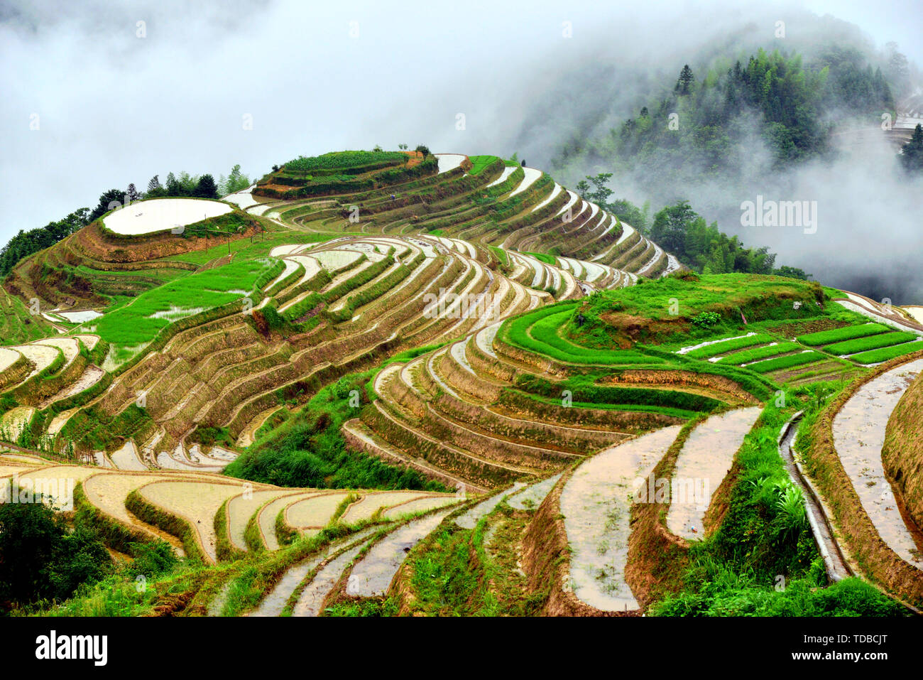 Guangxi dragon ridge terraces beautiful world Stock Photo - Alamy