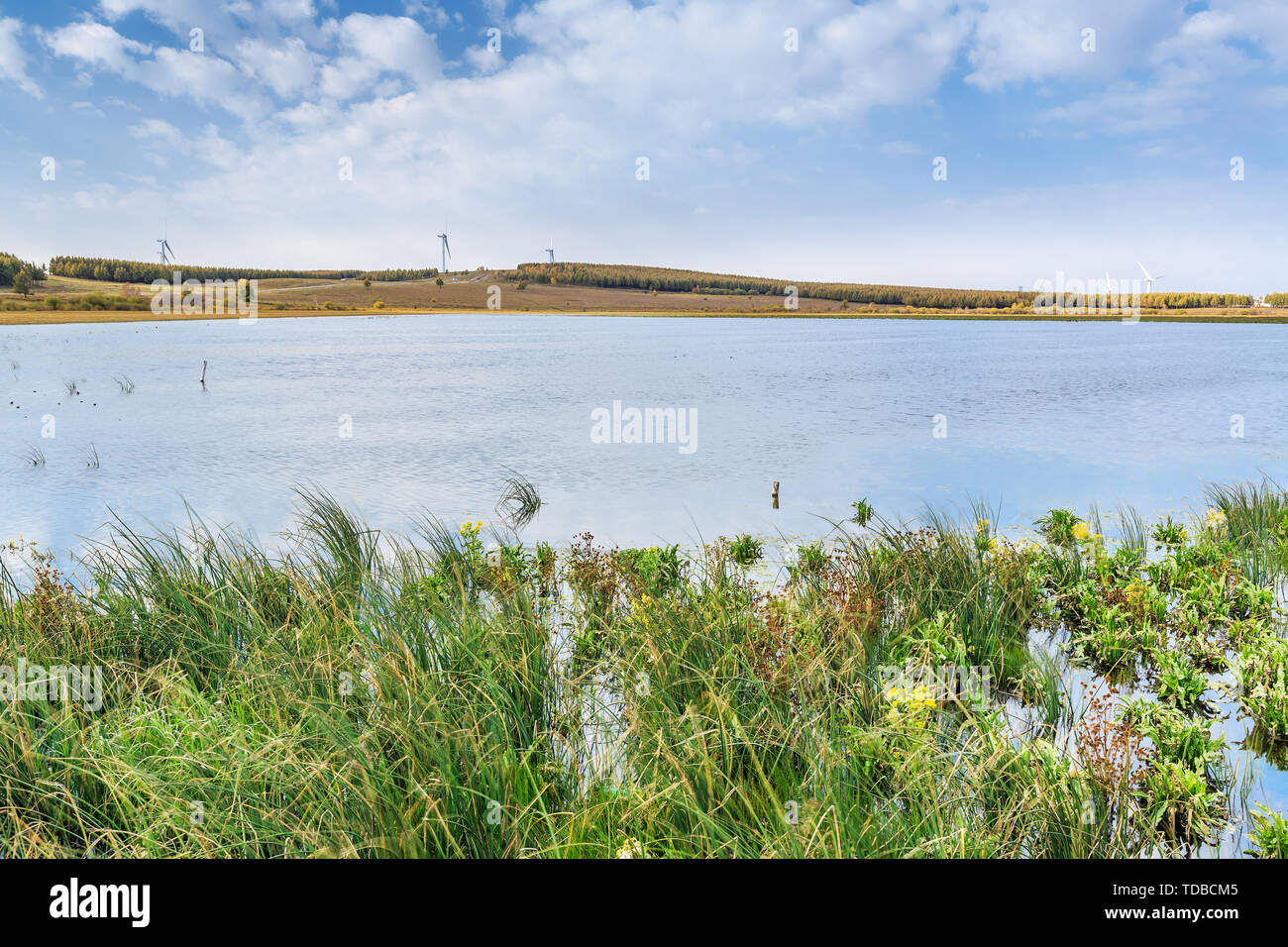 Lakes and moon comfortable weather hi-res stock photography and images ...