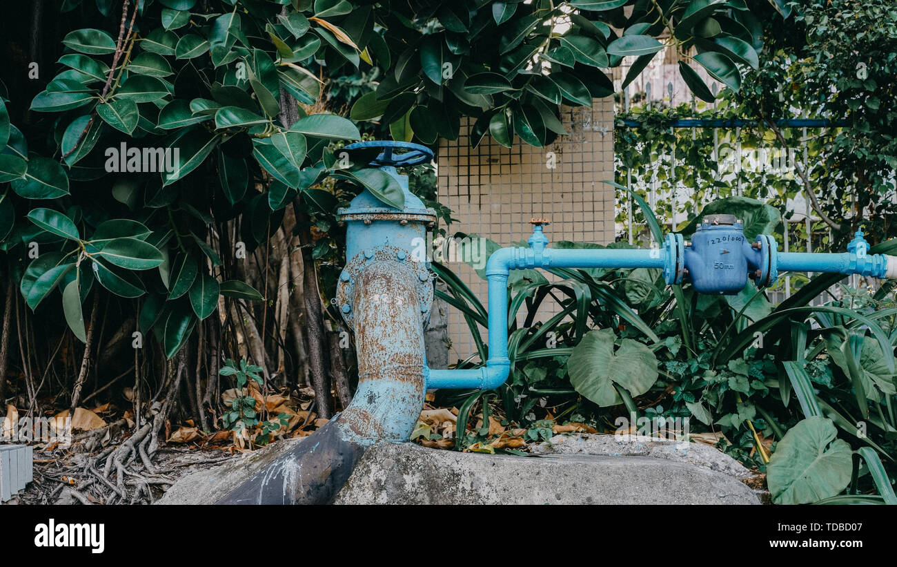Corner pipes and plants Stock Photo - Alamy