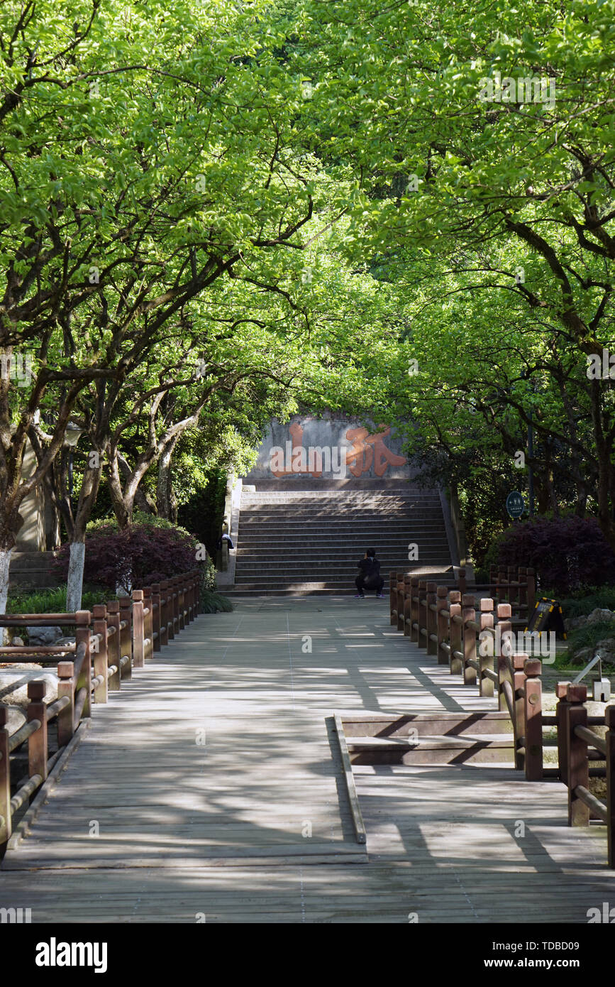 Spring color of West Lake Scenic Area Stock Photo - Alamy