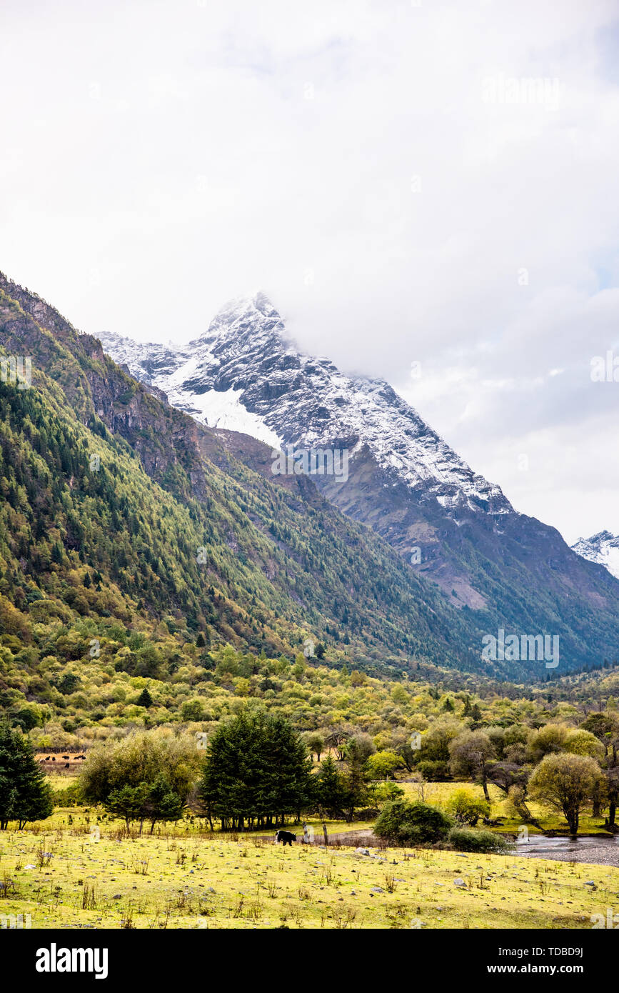 Valleys and rocks in sichuan hi-res stock photography and images - Alamy