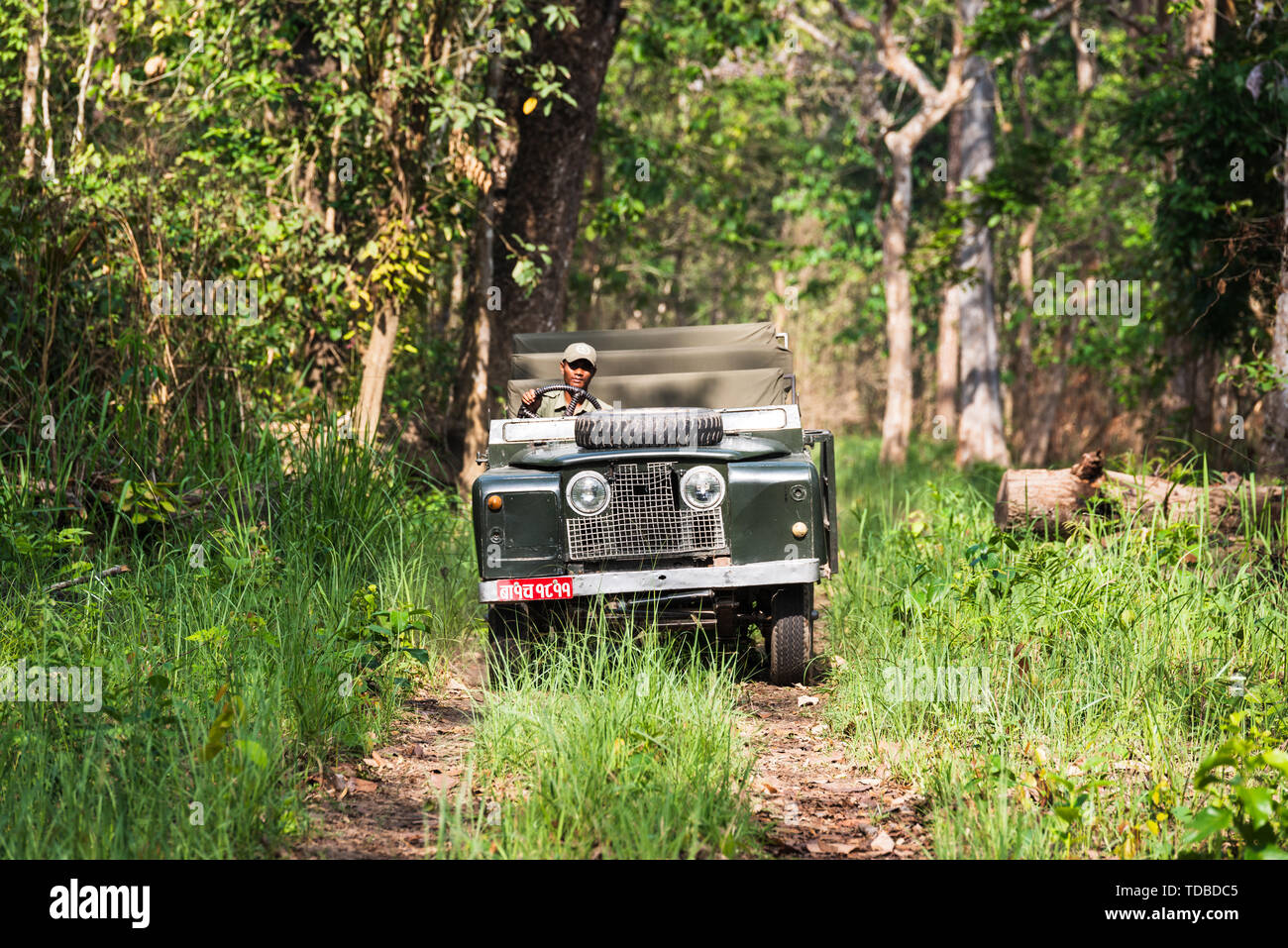 Land rover in the jungle hi-res stock photography and images - Alamy