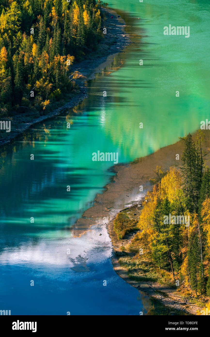 Grasses and kanas hi-res stock photography and images - Alamy