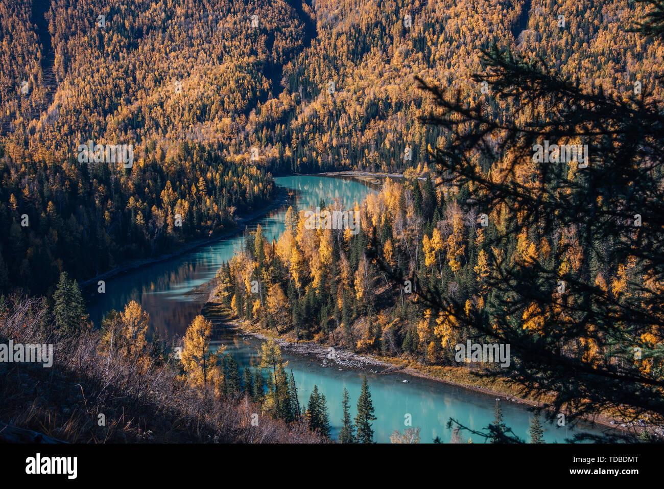 Through the blue river in the forest Stock Photo - Alamy