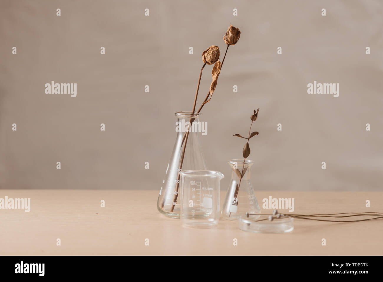 Distillation of flowers hi-res stock photography and images - Alamy