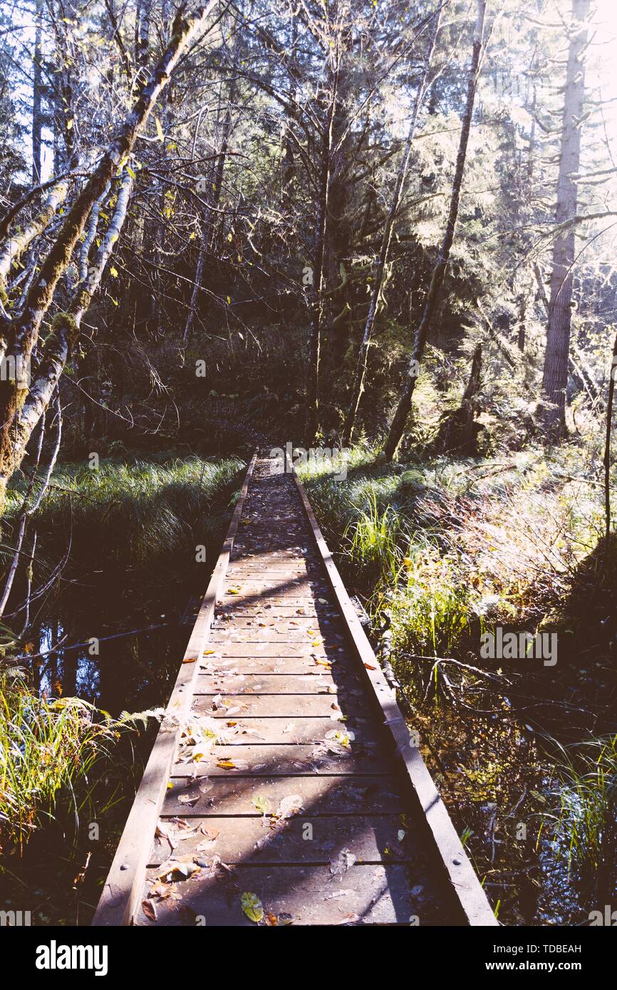 Wooden little narrow bridge in a forest over a small river Stock Photo ...