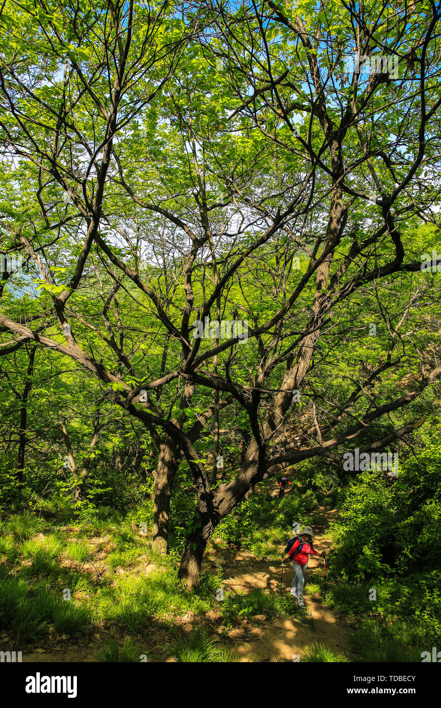 Meridian road hi-res stock photography and images - Alamy