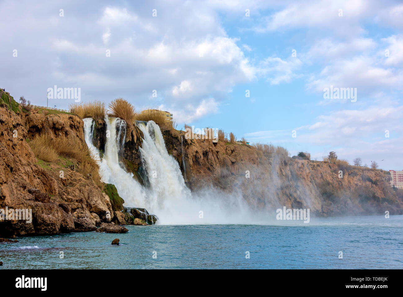 Dutton surf hi-res stock photography and images - Alamy