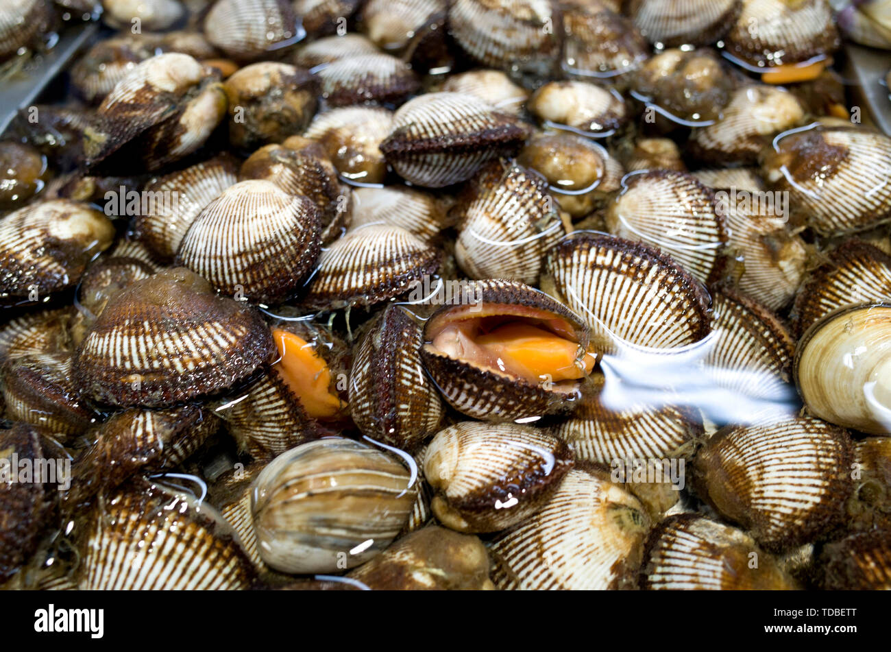 Clam boil hi-res stock photography and images - Alamy