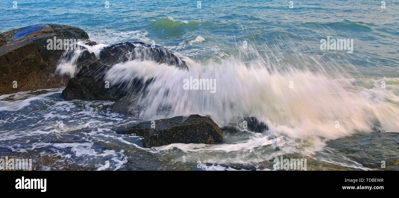 A group of pictures of the soul of the sea Stock Photo - Alamy