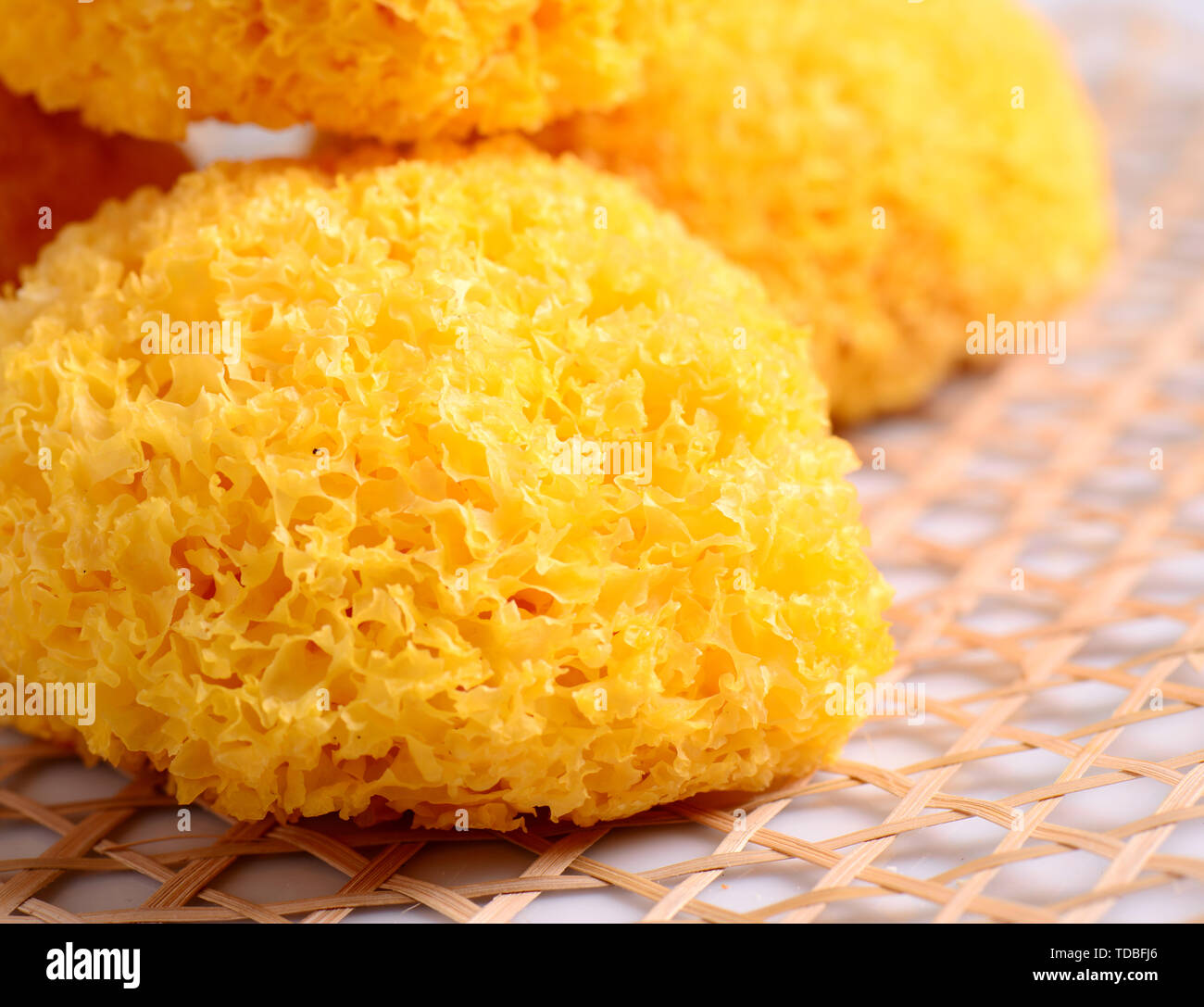 Silver ear snow ear Stock Photo - Alamy