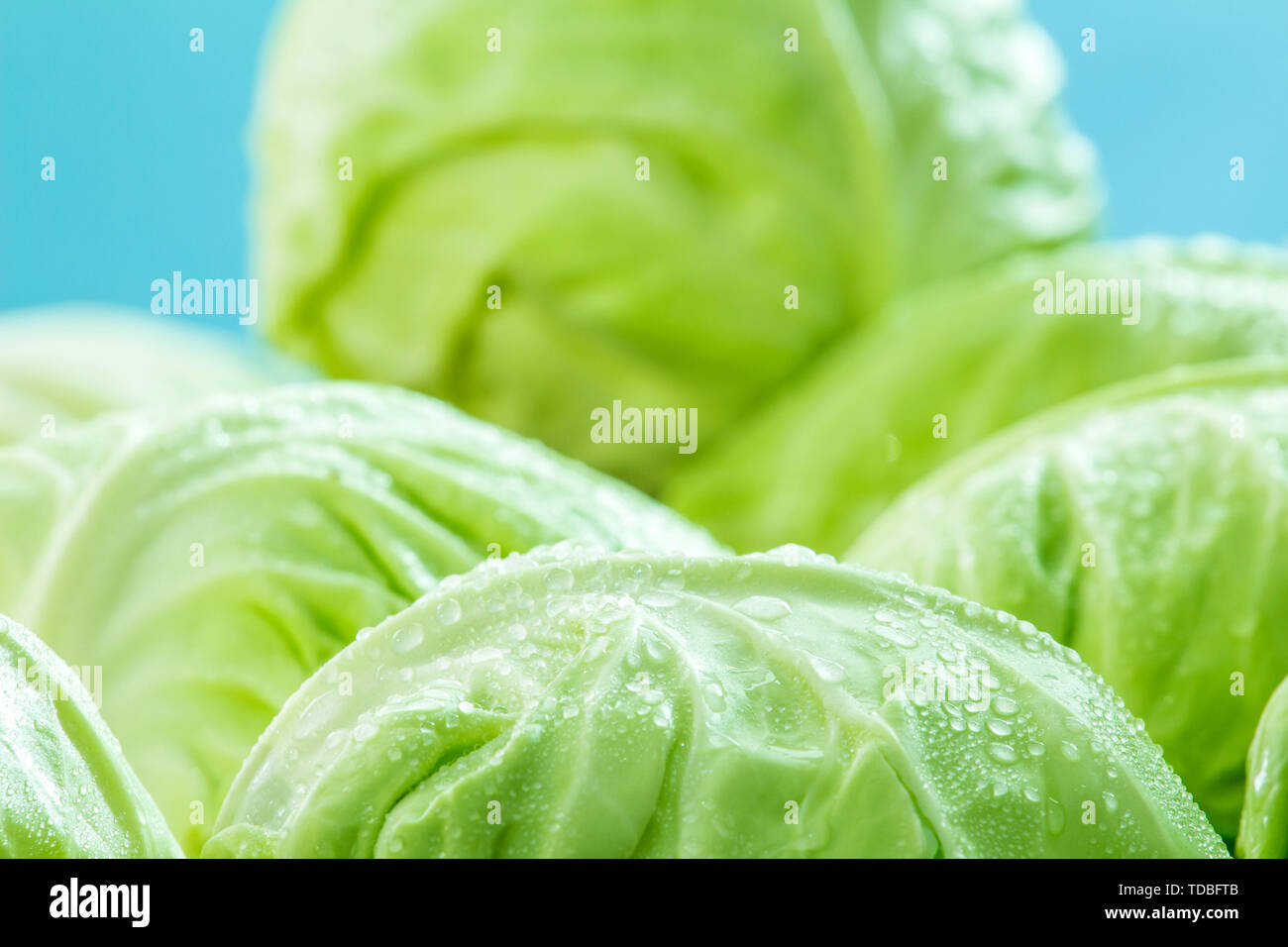 Cabbage melon hi-res stock photography and images - Alamy
