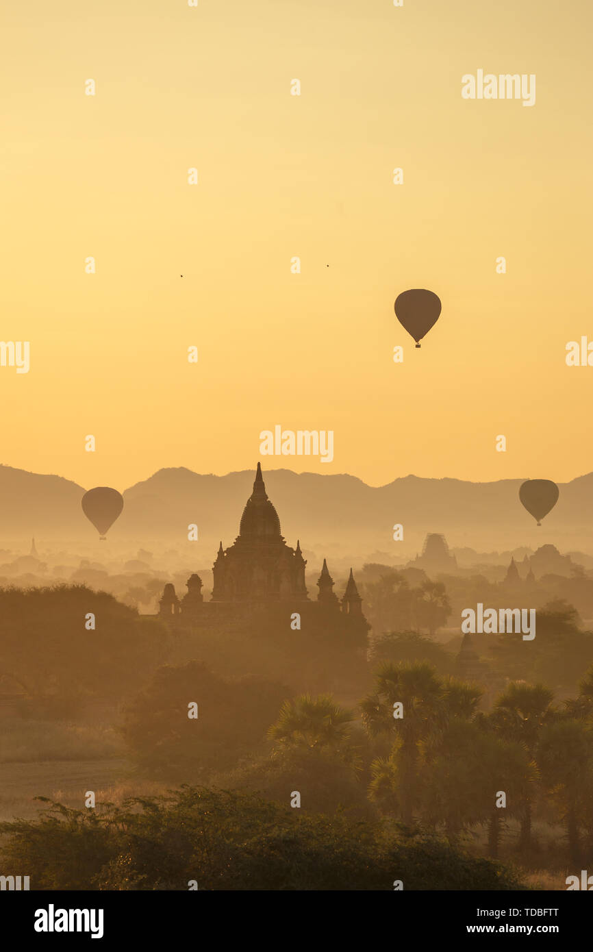 Pugan hi-res stock photography and images - Alamy